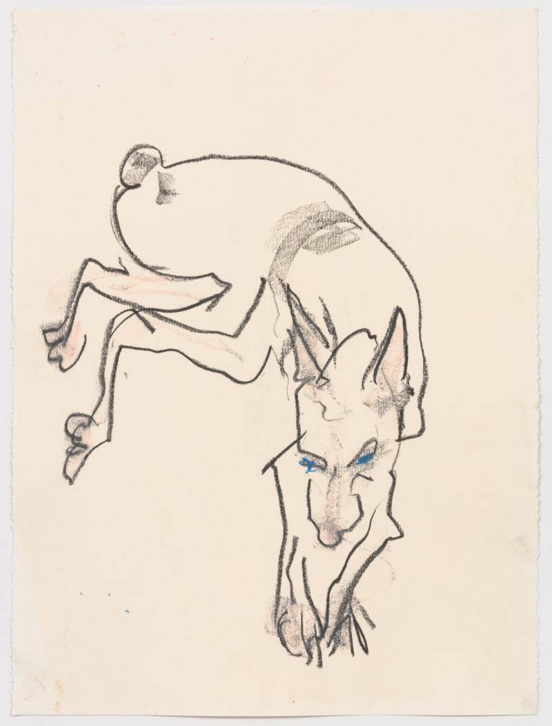 The Drawing Center: Joan Jonas: Animal, Vegetable, Mineral