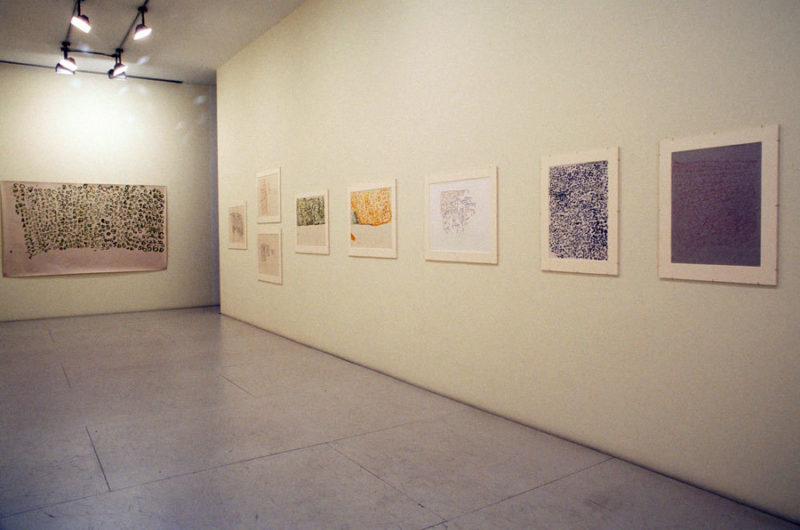 The Drawing Center: Korwa Drawings: Contemporary Tribal Works on Paper ...