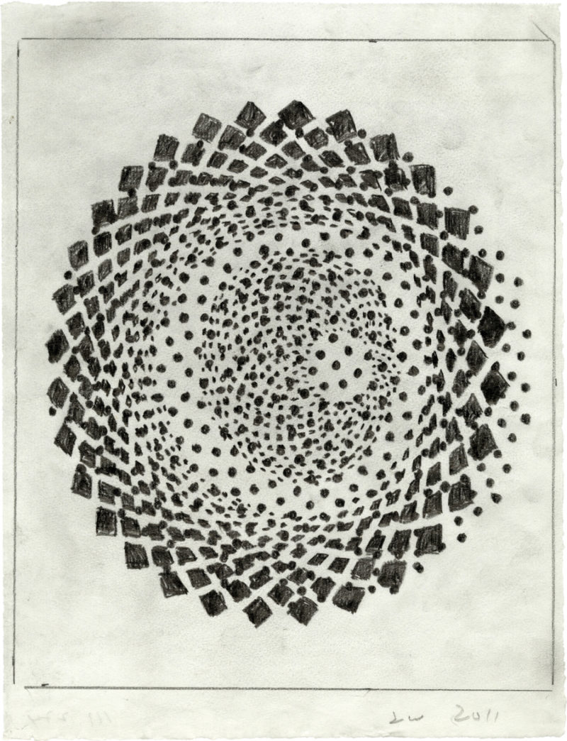 The Drawing Center: Terry Winters: Facts and Fictions